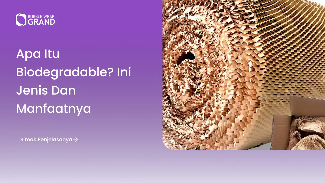 Apa Itu Biodegrable? Ini Jenis dan Manfaatnya - Bubble Wrap Grand